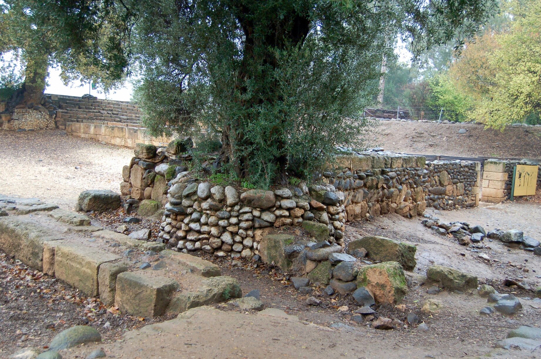 Tel Dan Palace Ruins - Faith Journeys